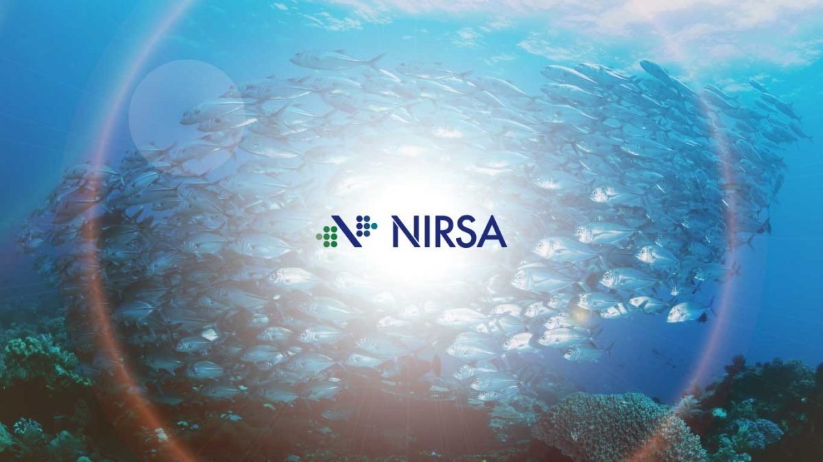 Estrategia de Marketing de Negocios Industriales Real (NIRSA) ‣ Vudú Publicidad